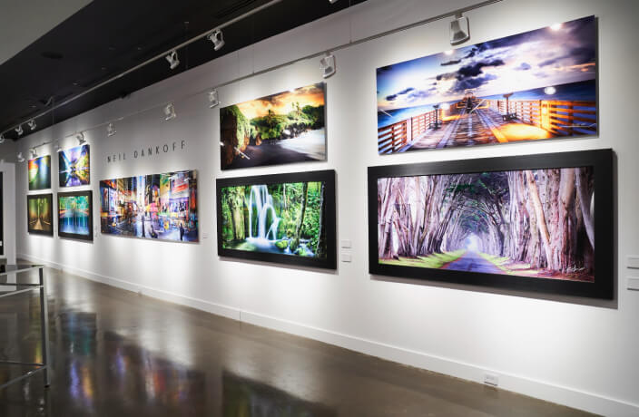 Win a trip and exhibit your work with 500px and Neil Dankoff | 500px